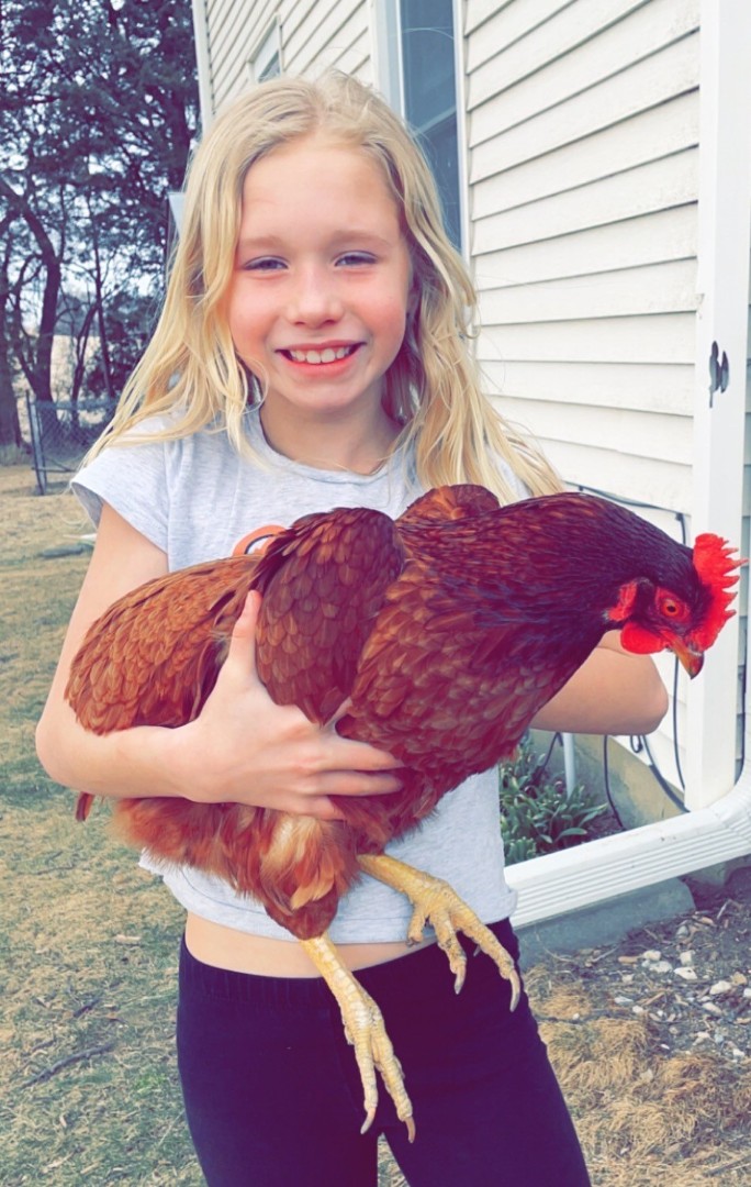 City of Waverly - Chicken Permit